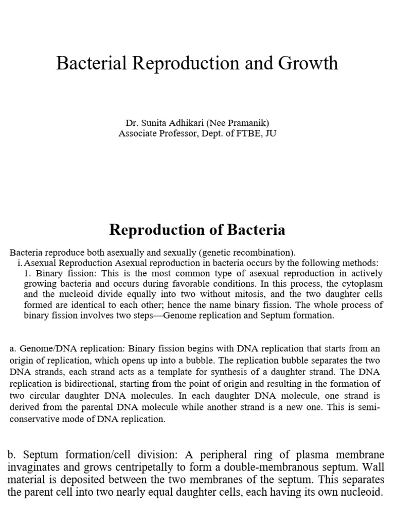 Bacterial Reproduction and Growth Methods | PDF | Cell Growth | Bacteria