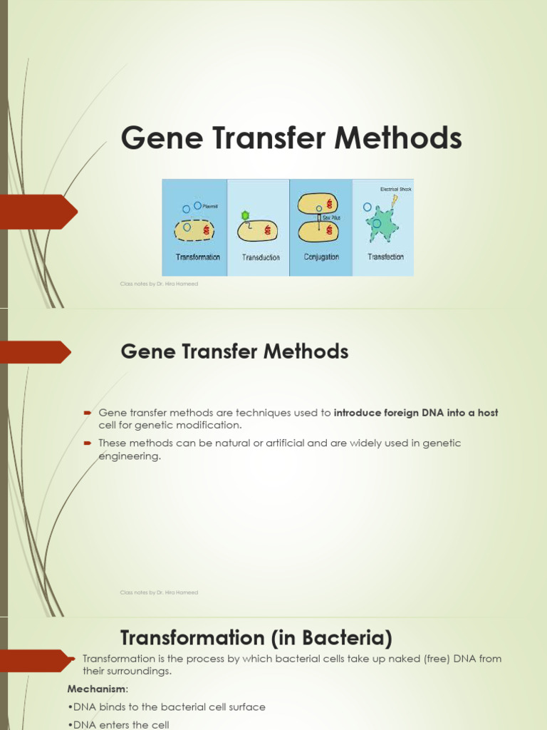 09 L Gene Transfer Methods | PDF | Bacteriophage | Biological Engineering