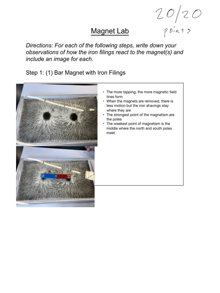 Bar+Magnet+Lab | PDF