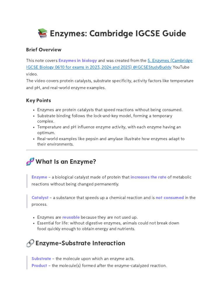 Enzymes: Key Concepts for IGCSE Biology | PDF | Enzyme | Active Site