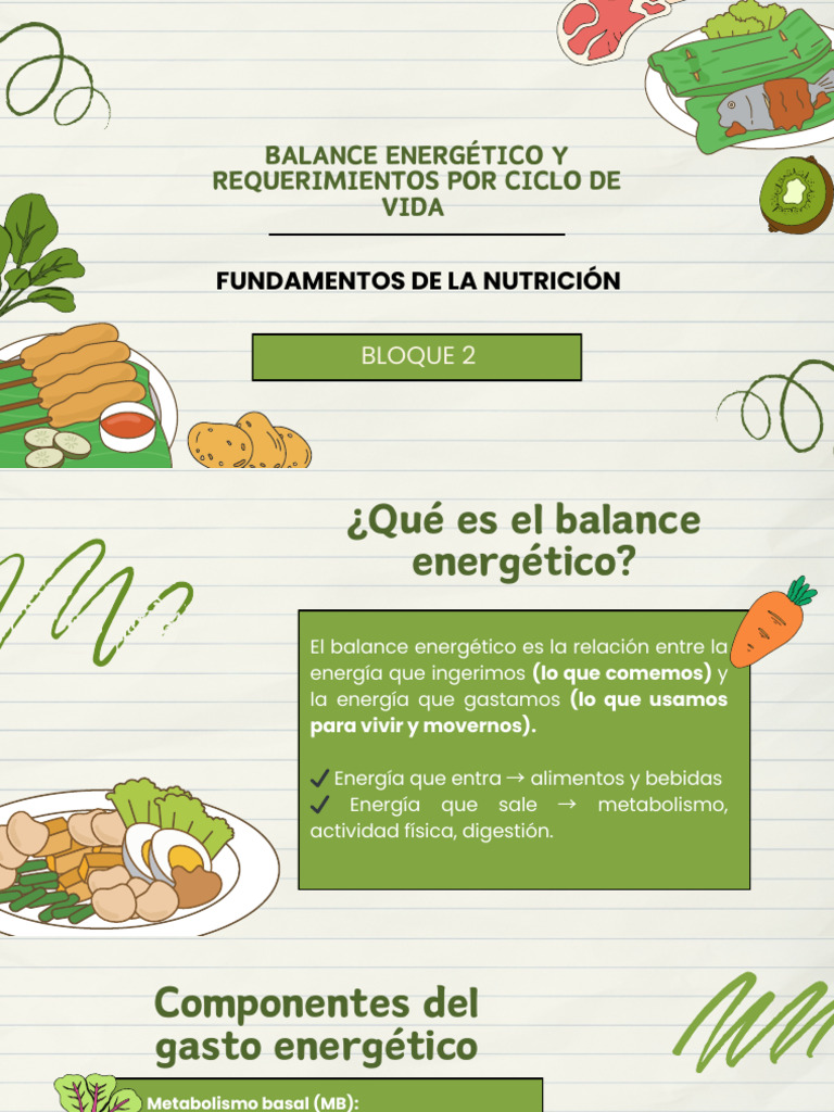 Balance Energético y Requerimientos Por Ciclo de Vida | PDF ...