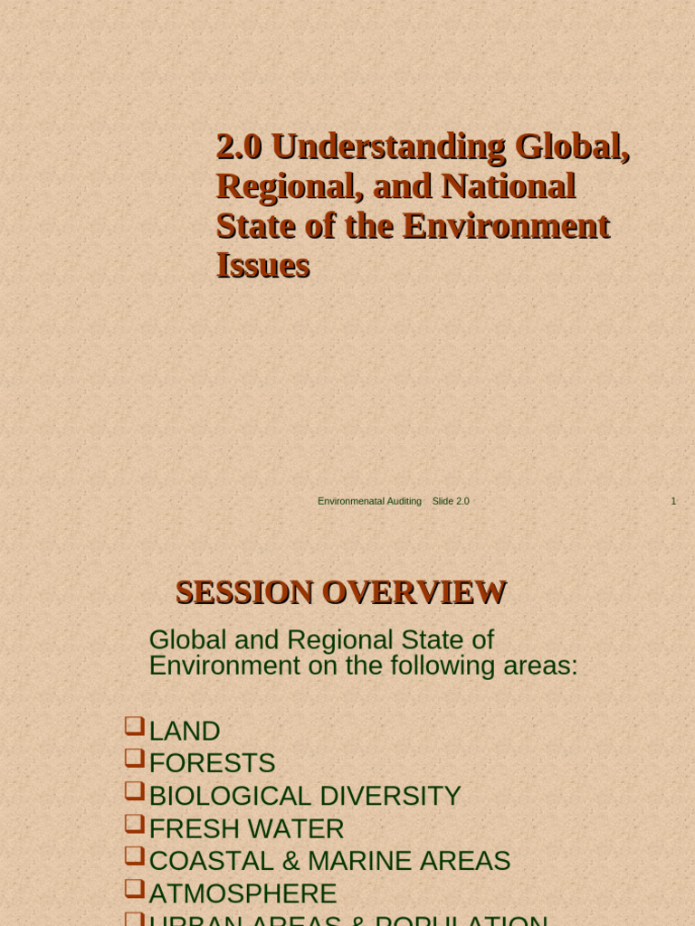 Global Environmental Audit Overview | PDF | Deforestation | Biodiversity