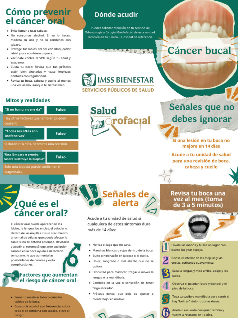 Ca Oral Flyer 12 - 25 | PDF | Enfermedades y trastornos ...