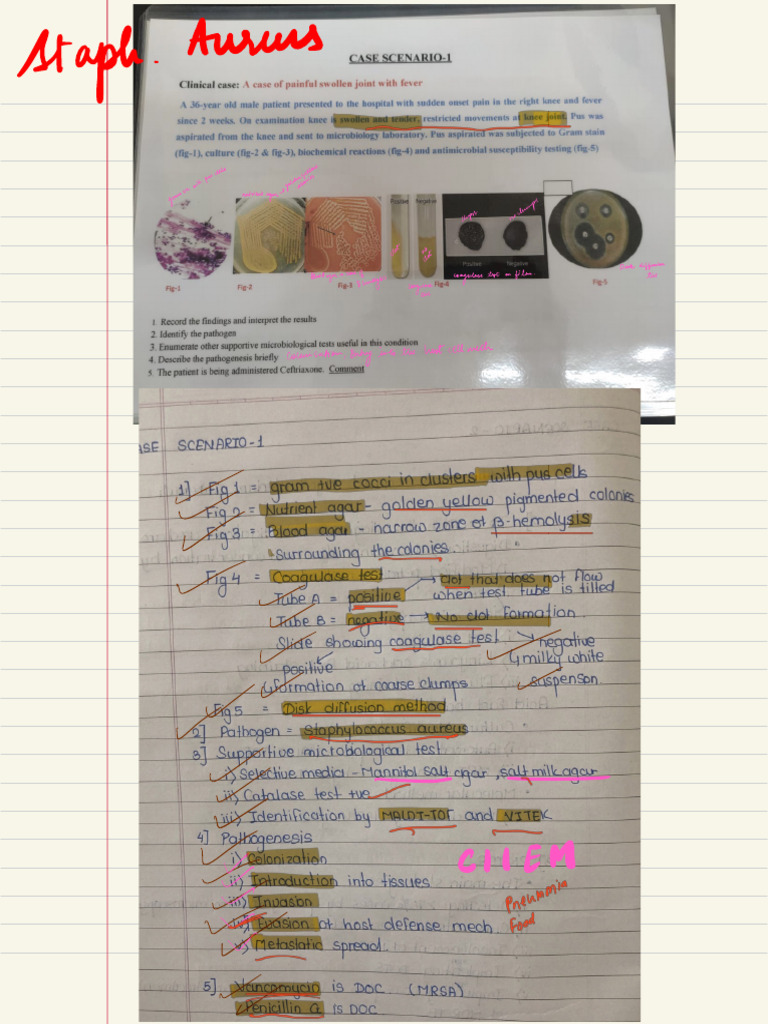 Micro Practical Cases .PDF | PDF | Medical Specialties | Diseases And Disorders