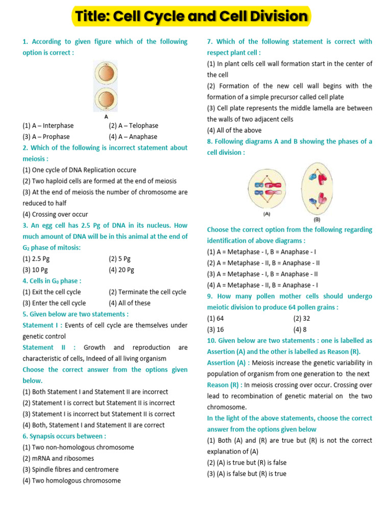 Cell Cycle SHEET Jr. Elite | PDF | Meiosis | Mitosis