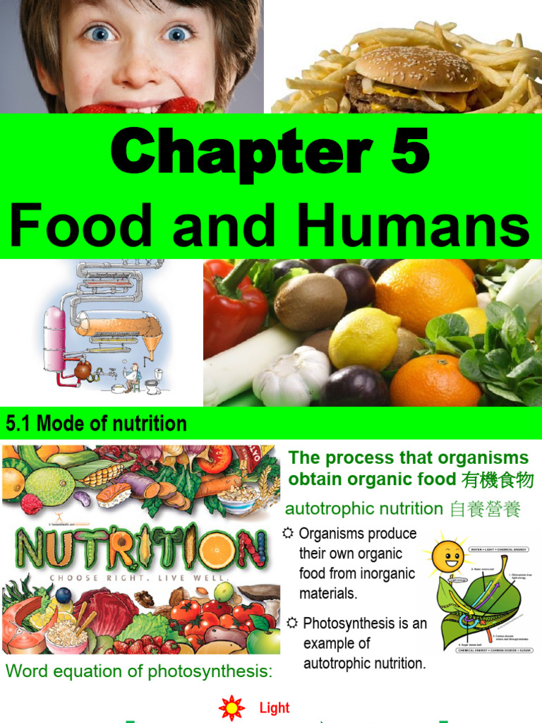 Chapter 5 Food and Humans - Student | PDF | Carbohydrates | Nutrition