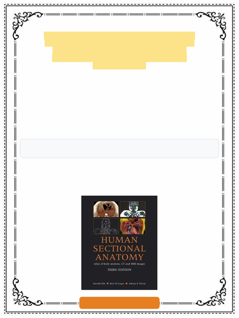 Human Sectional Anatomy Atlas of Body Sections CT and MRI Images 3rd ...