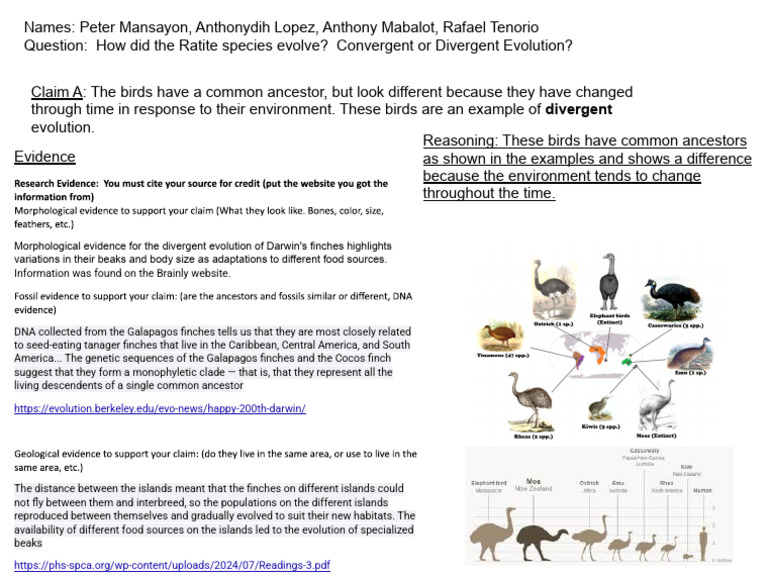 Copy of Ratite Bird Species CER 2025 (1) | PDF