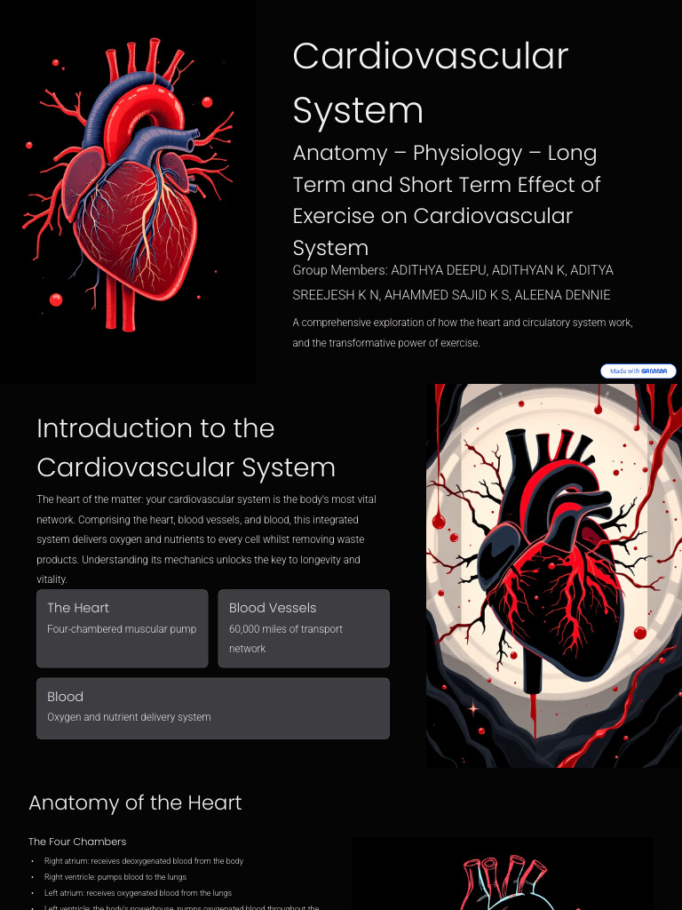Cardiovascular System | PDF | Circulatory System | Blood Vessel