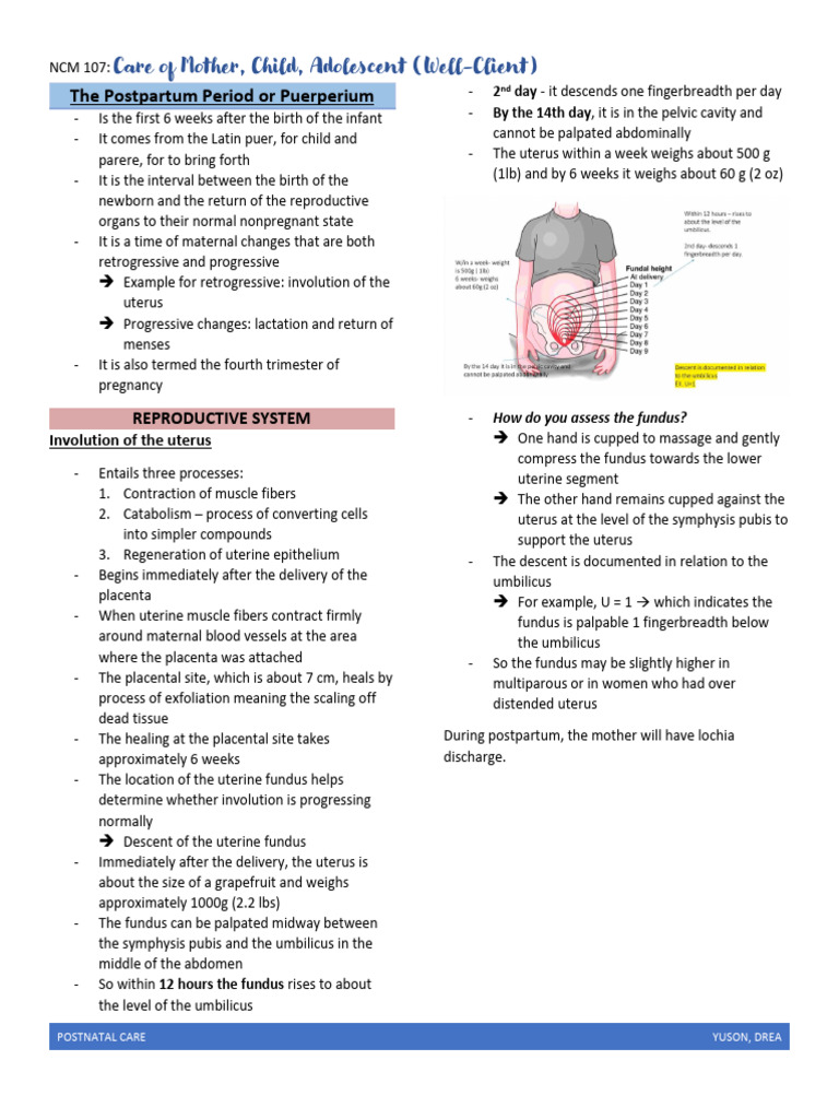 NCM 107 Module 5F | PDF | Breast Milk | Lactation