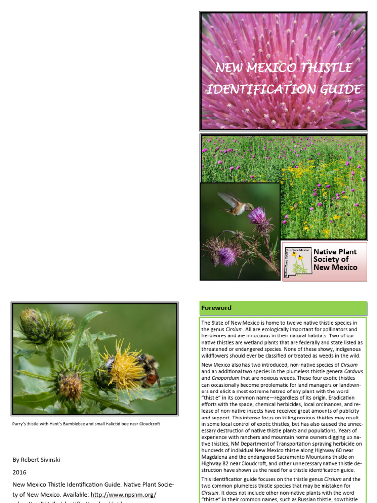 NM Thistles Screen or 8.5x11 2162016 | PDF | Plants | Plant Morphology