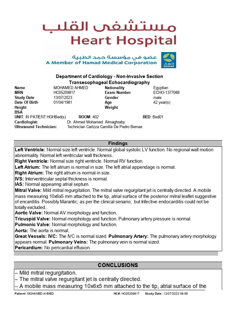 Mohamed Abdelkarim Mohamed Ahmed Geccw Report 2023071316 1280855.PDF ...