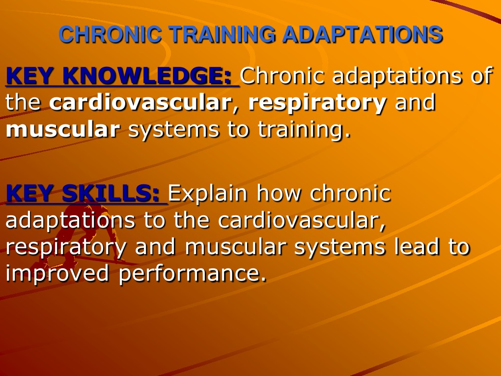 Chronic Adaptations to Training | PDF | Aerobic Exercise | Muscle