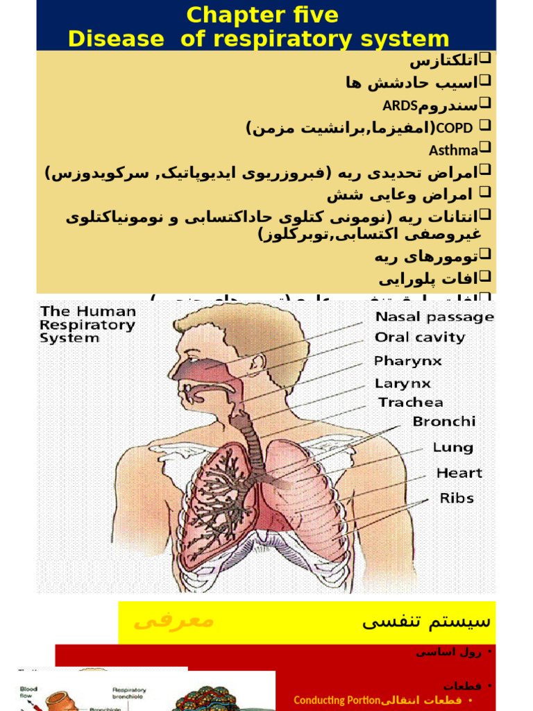 Disease of Respiratory System | PDF