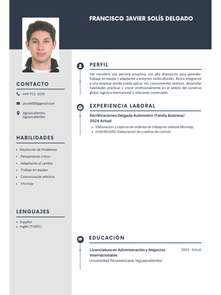 Francisco Javier Solís Delgado - CV (2) | PDF