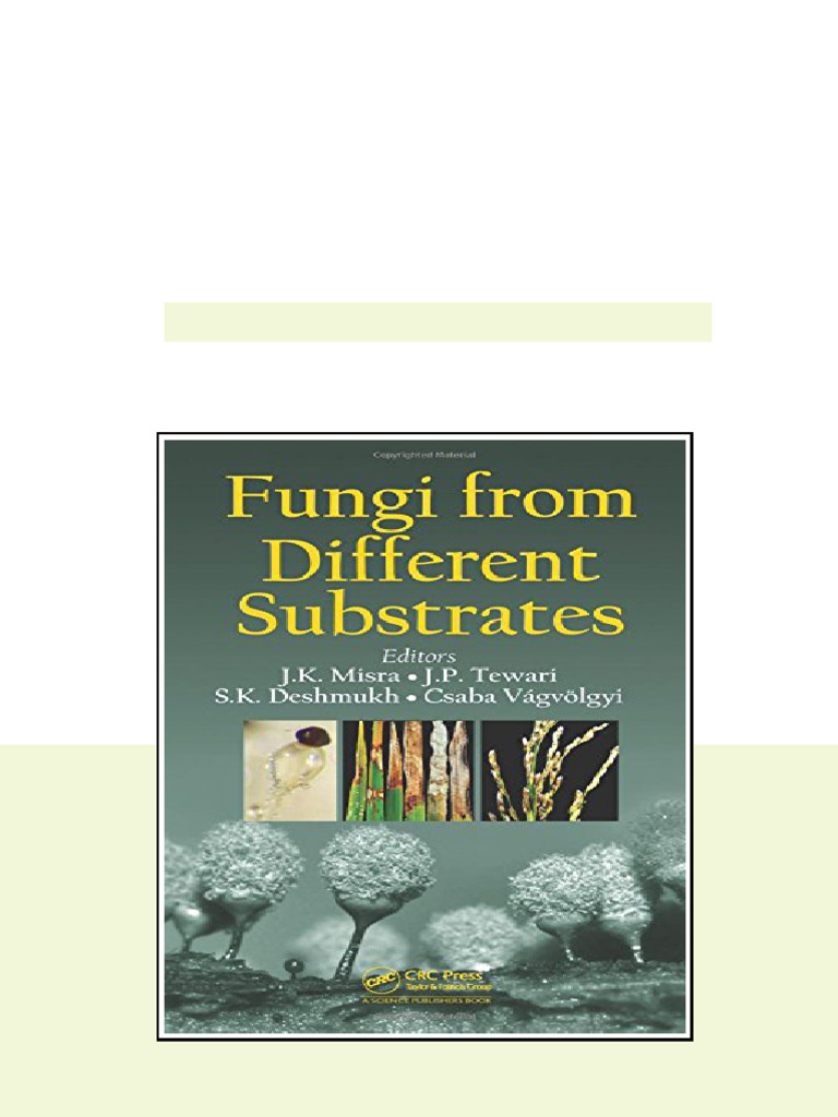 Fungi From Different Substrates 1st Edition J K Misra Jalpa P Tewari ...