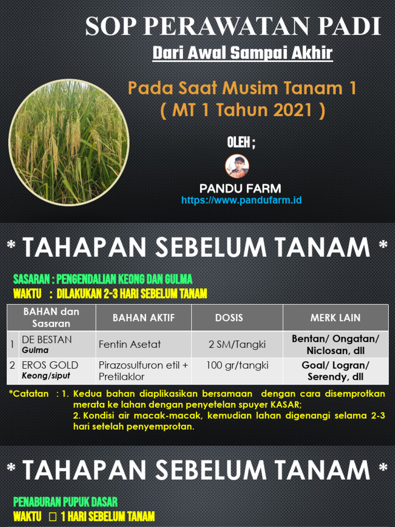 SOP Perawatan Padi MT 1 2021 Pandu Farm | PDF