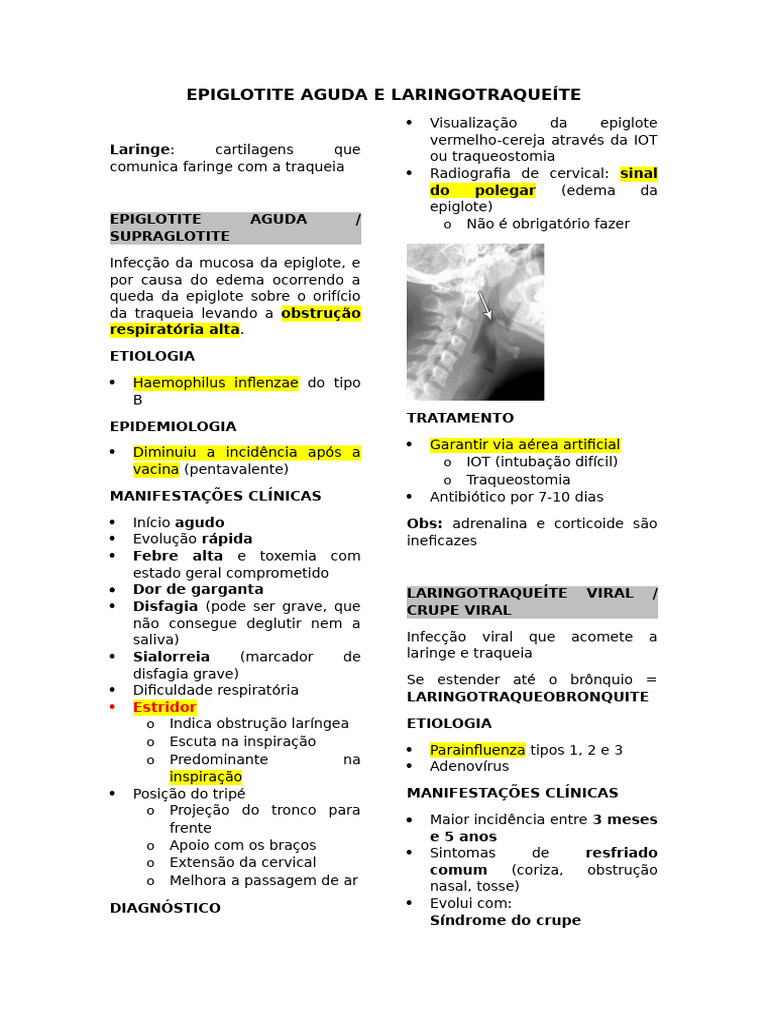 Epiglotite e Laringotraqueíte: Sintomas e Tratamento | PDF ...