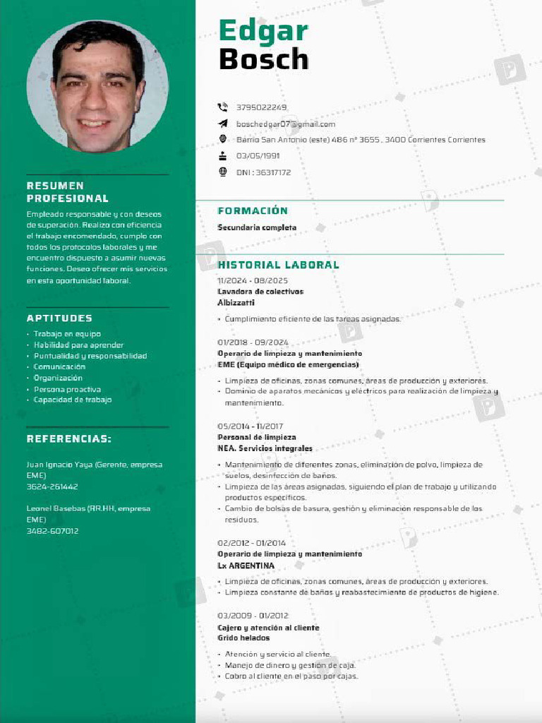 CurriculumVitae 1 | PDF
