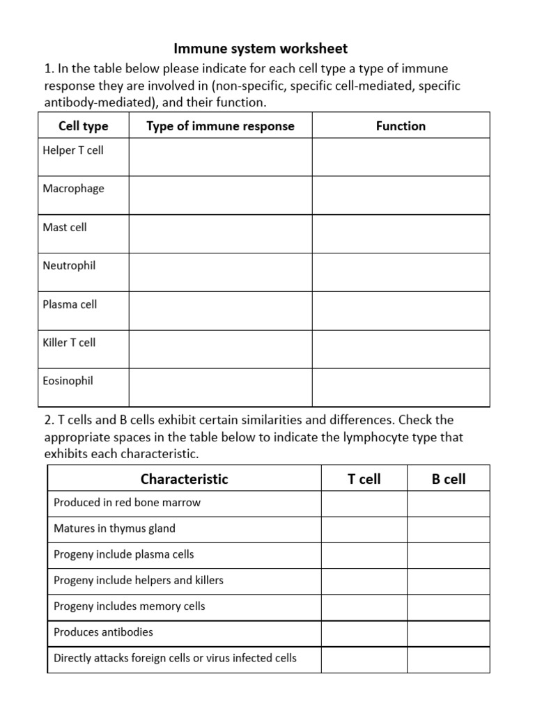 Immune System Worksheet | PDF