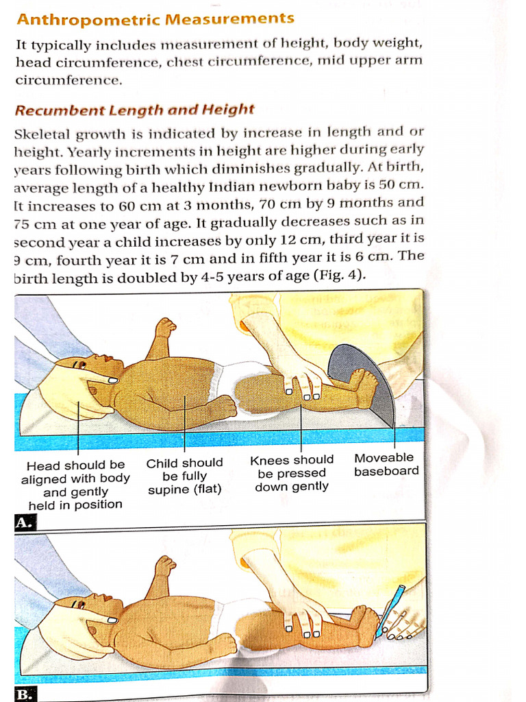 Anthropomorphic Measurement | PDF