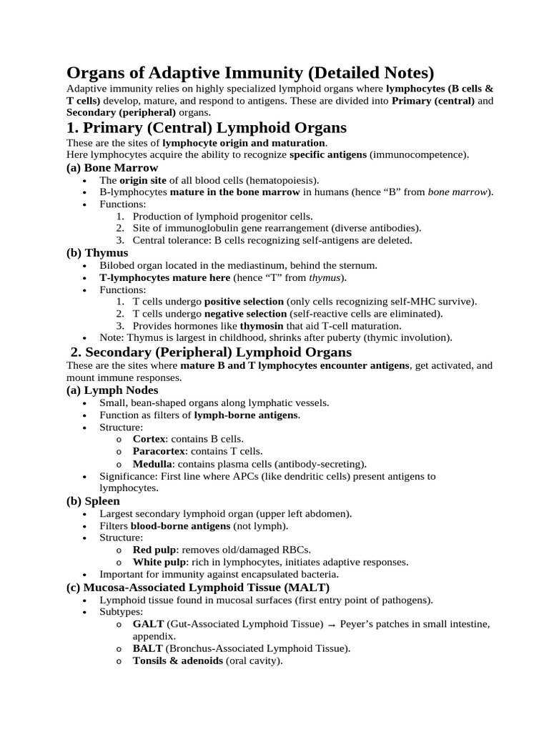 Organs of Adaptive Immunity | PDF | Antigen | Major Histocompatibility ...