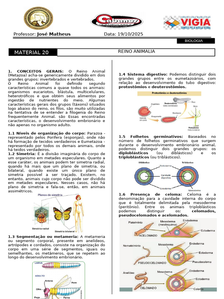Aula 20 - Biologia - 2025 - Reino Animalia | PDF | Esponja | Biologia