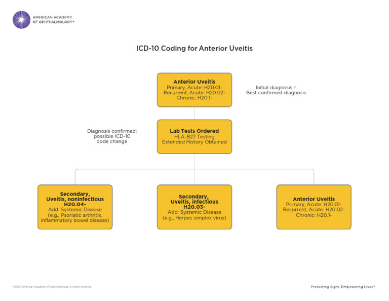 Anterior Uveitis ICD10 Diagram BC4810 20211001 | PDF