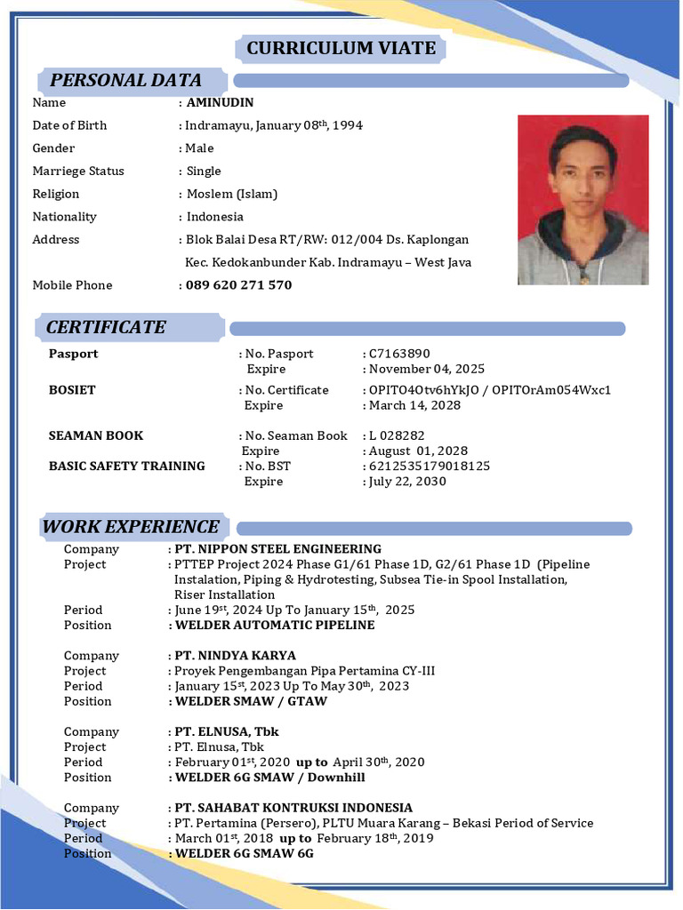 CV Aminudin 2025 | PDF