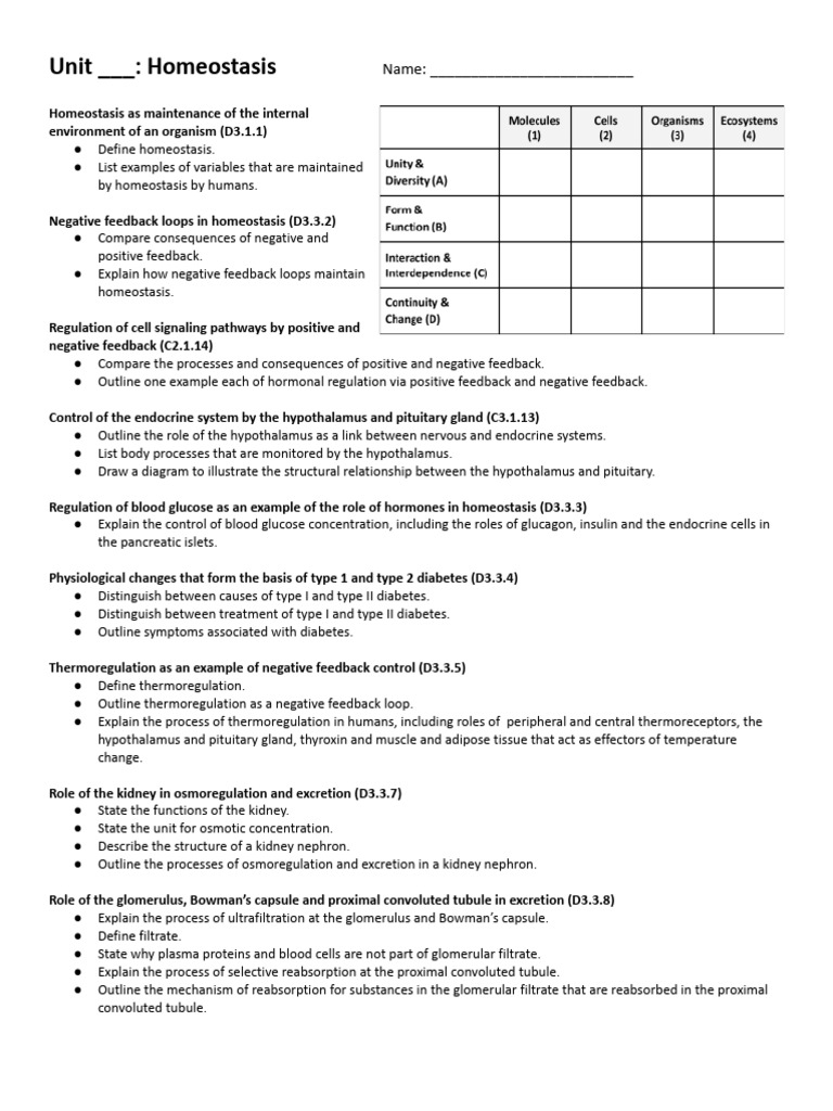 Homeostasis Note Packet | PDF | Kidney | Homeostasis