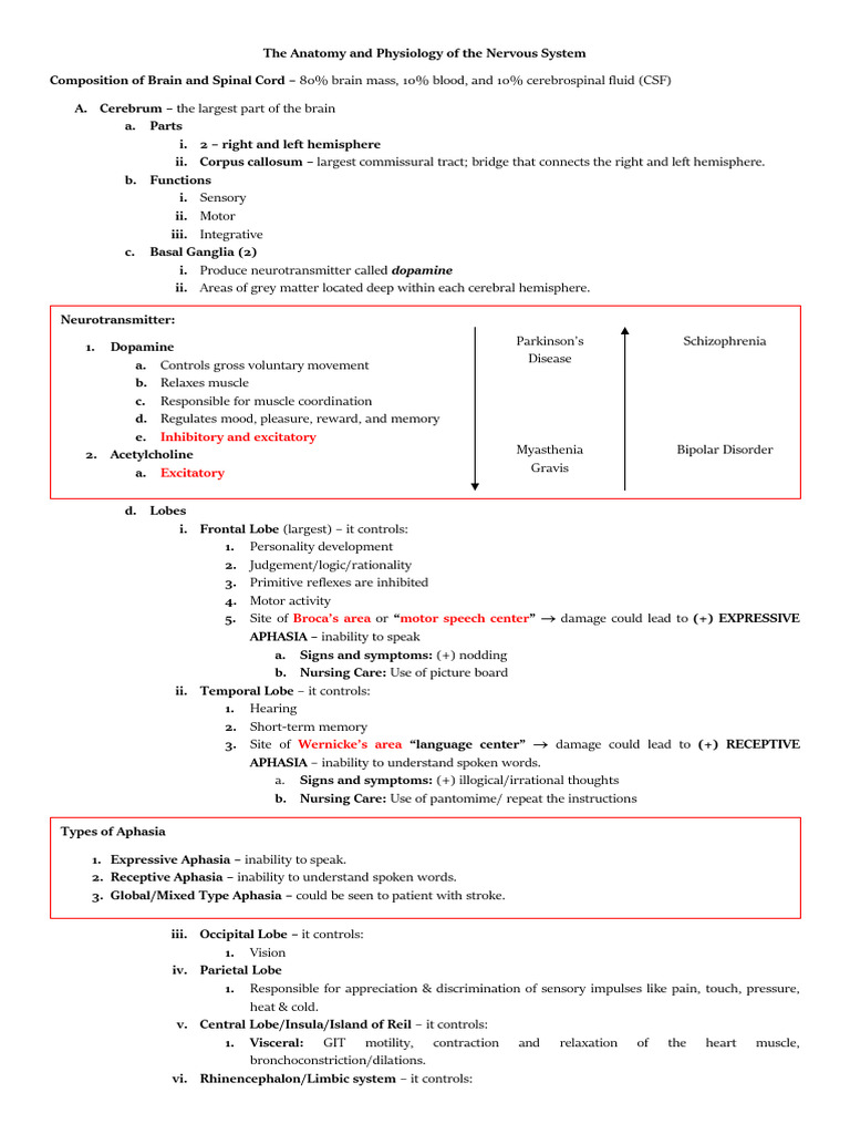 Nervous System Anatomy & Disorders Overview | PDF | Cerebrum | Cerebral ...