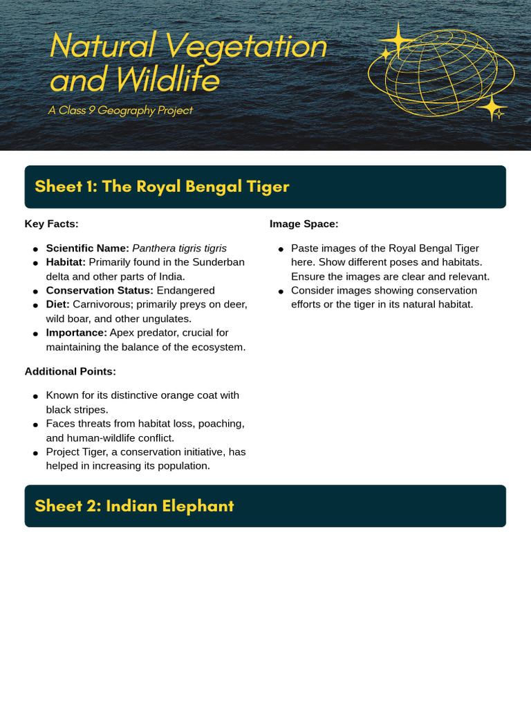 Natural Vegetation and Wildlife A4 | PDF | Tiger | Conservation Biology