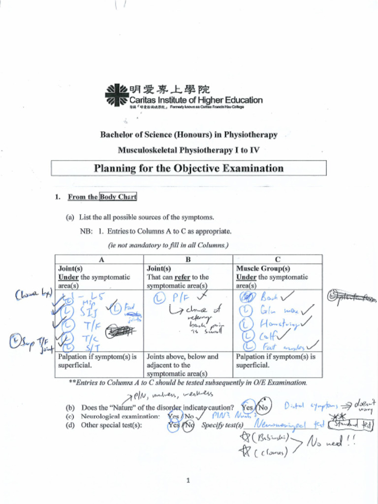 MSK Planning Sheet (Sample) | PDF
