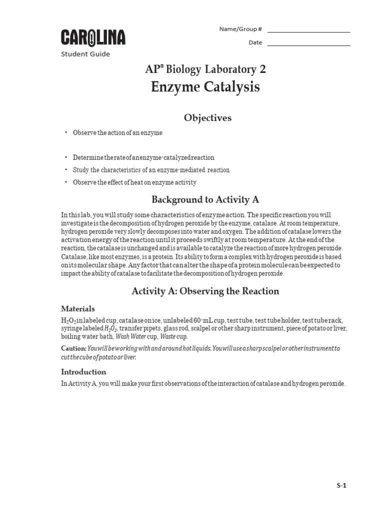Enzyme Catalysis LabSTUDENT | PDF | Titration | Chemistry