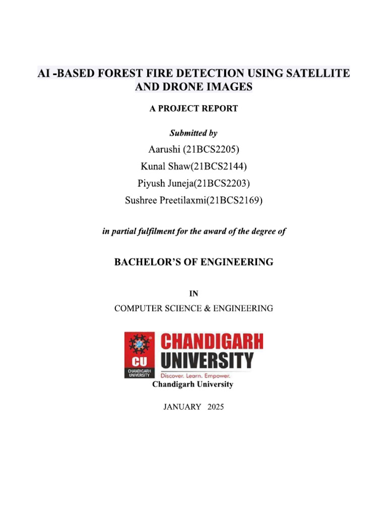 Phase 1 Report Forest Fire | PDF