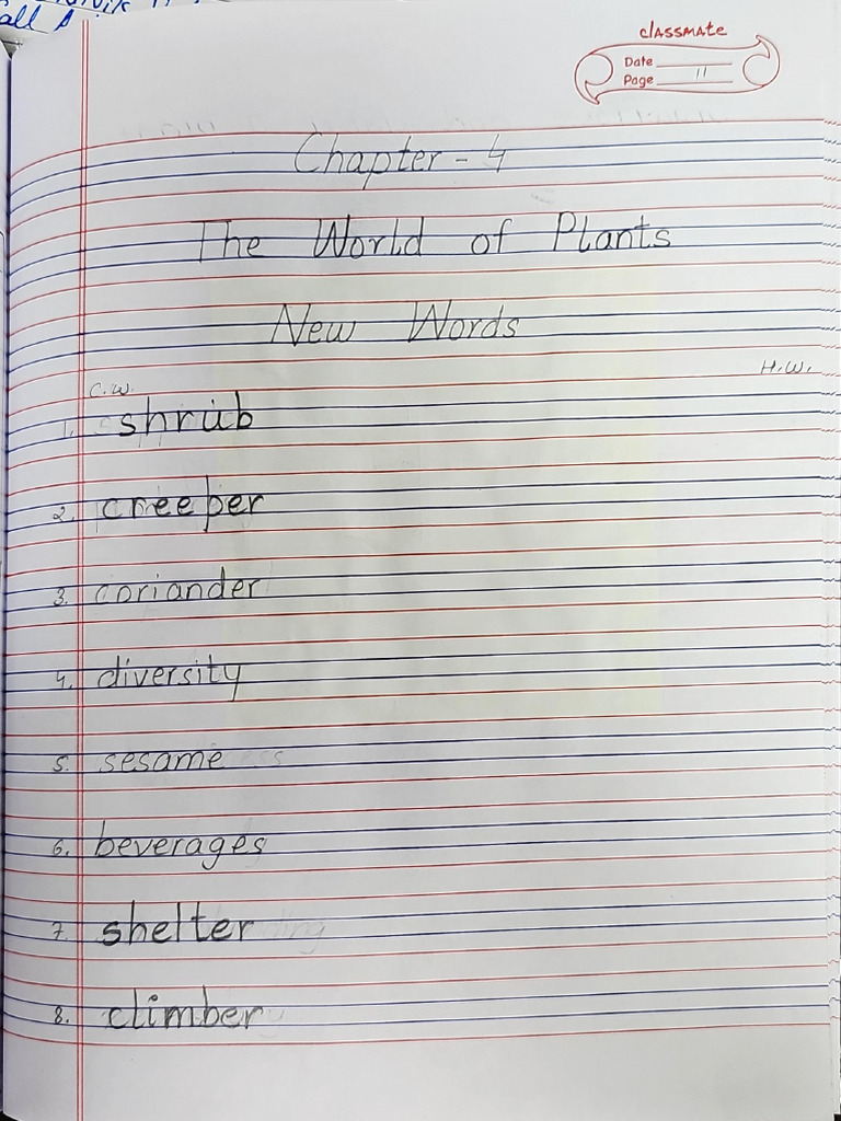 Ch-4 Notebook Work | PDF
