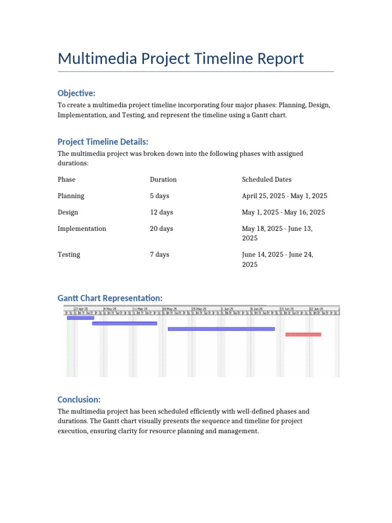 Multimedia Project Timeline Report | PDF