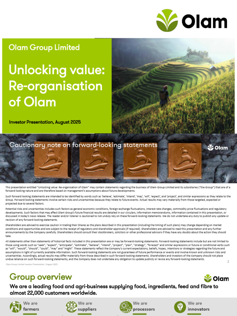Olam Investor Presentation Aug 2025 | PDF | Leverage (Finance) | Equity ...