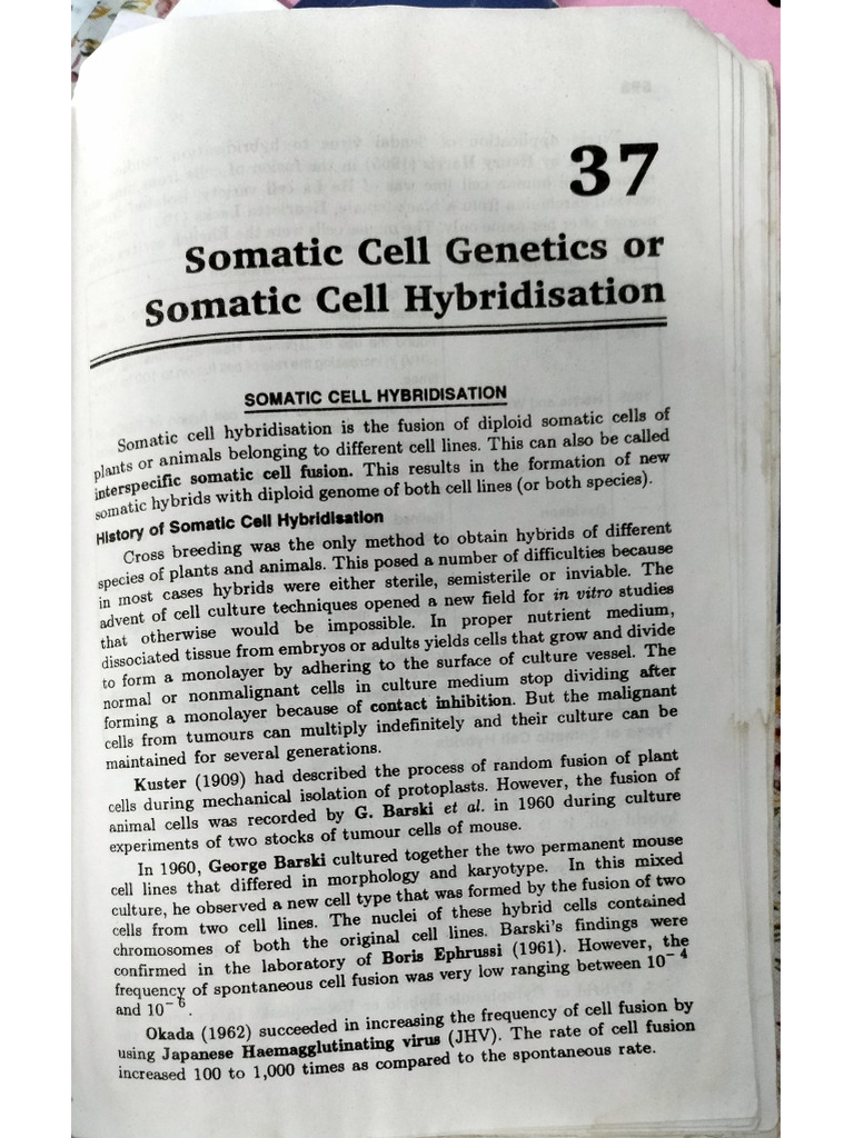 Somatic Cell Hybridization | PDF