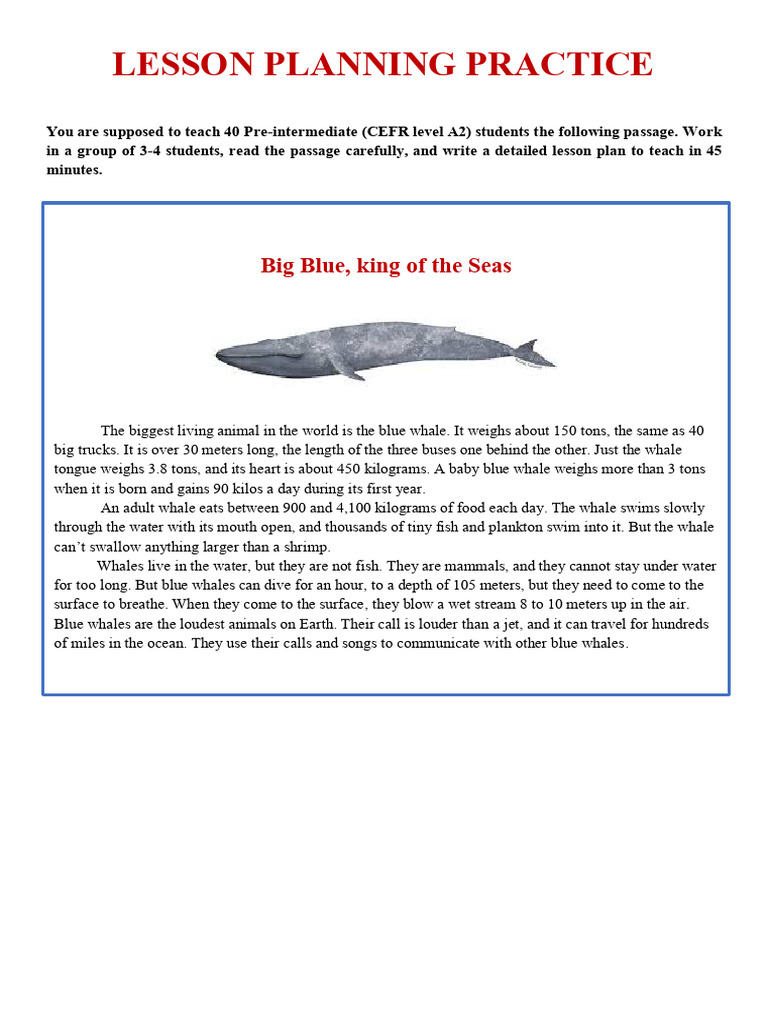 Lesson Plan for Teaching Blue Whales | PDF