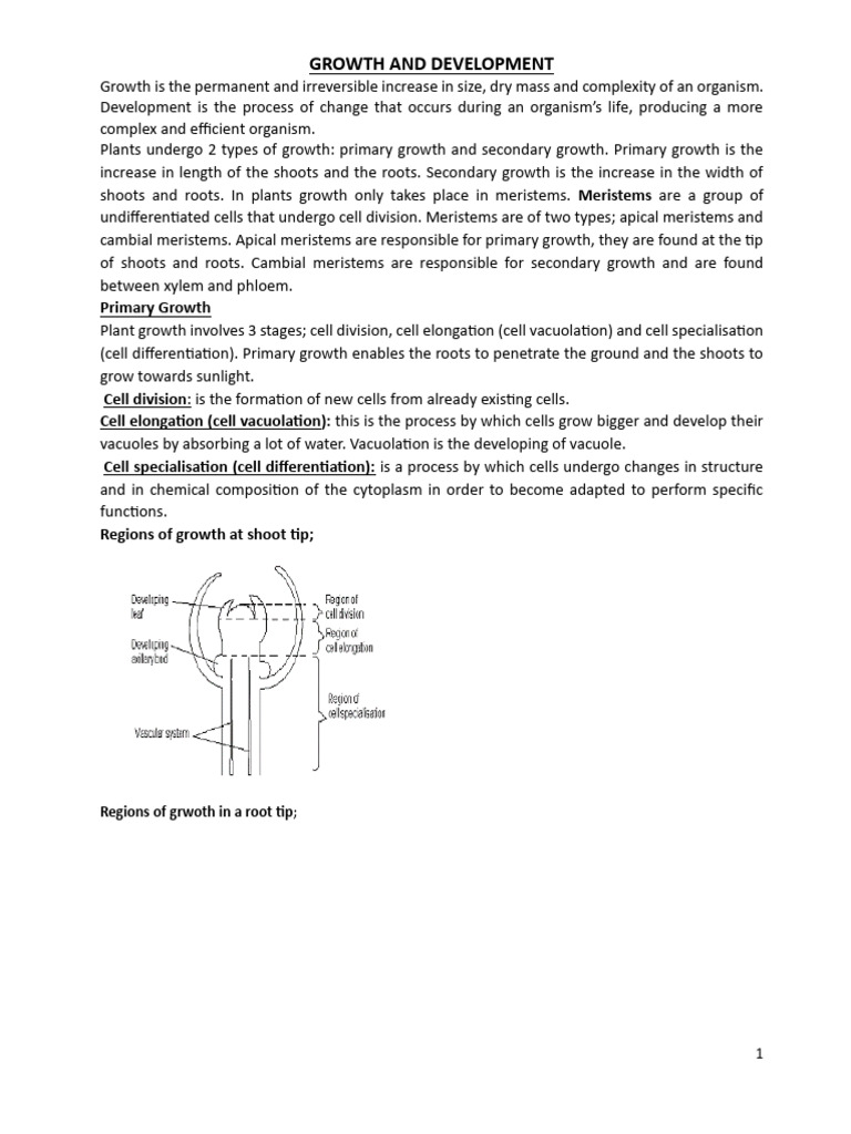 Plant Growth and Germination Explained | PDF | Seed | Germination