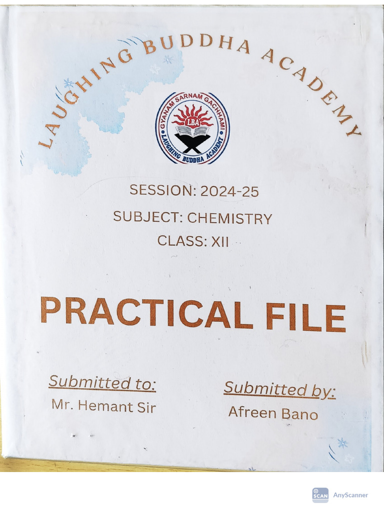 Class 12 Chemistry Project File | PDF