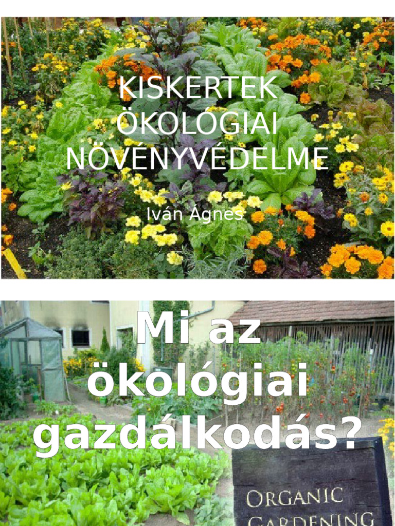 Kiskertek Ökologiai Növényvédelme | PDF