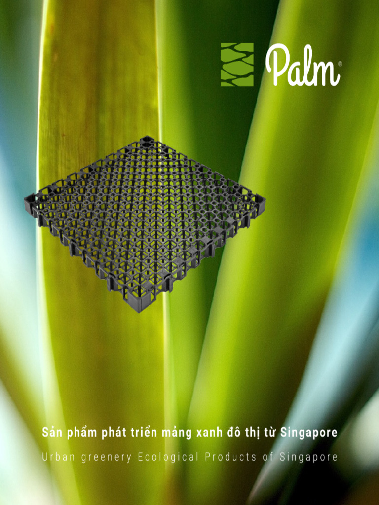 Palm Brochure VN | PDF