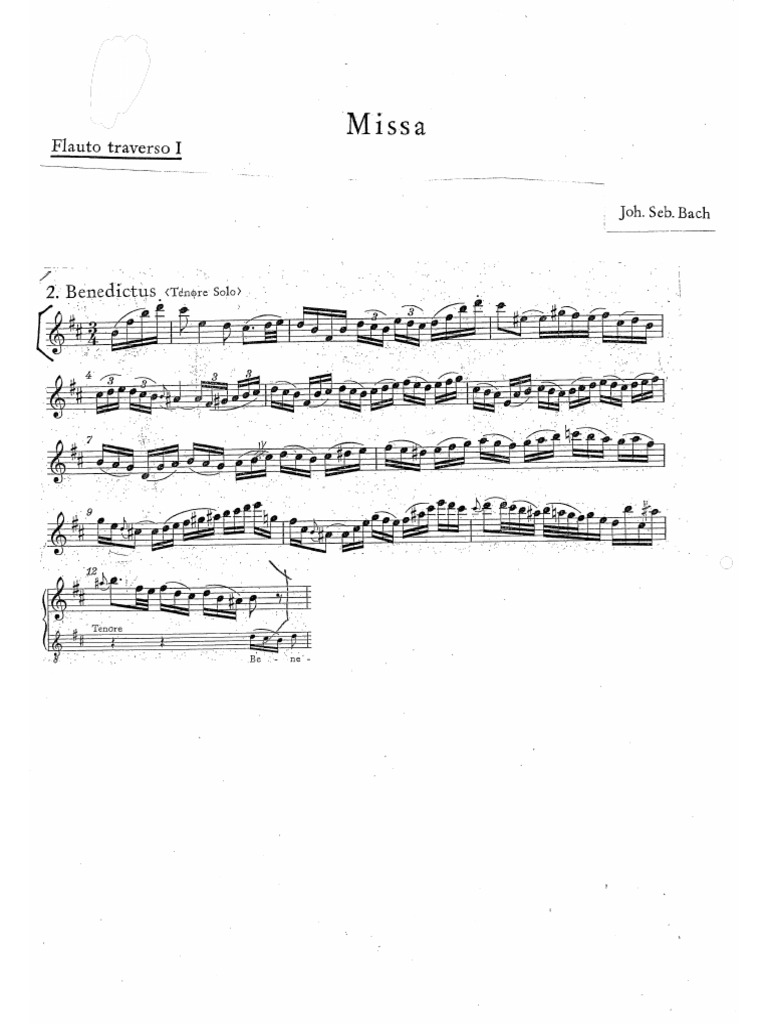 Auditie FGE | PDF