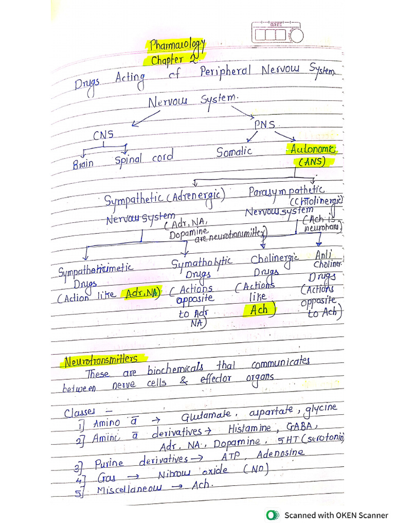 Basic and Cholinergics | PDF