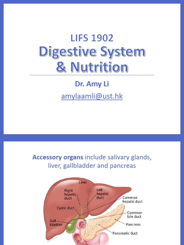 Digestive System and Nutrition Overview | PDF | Liver | Digestion