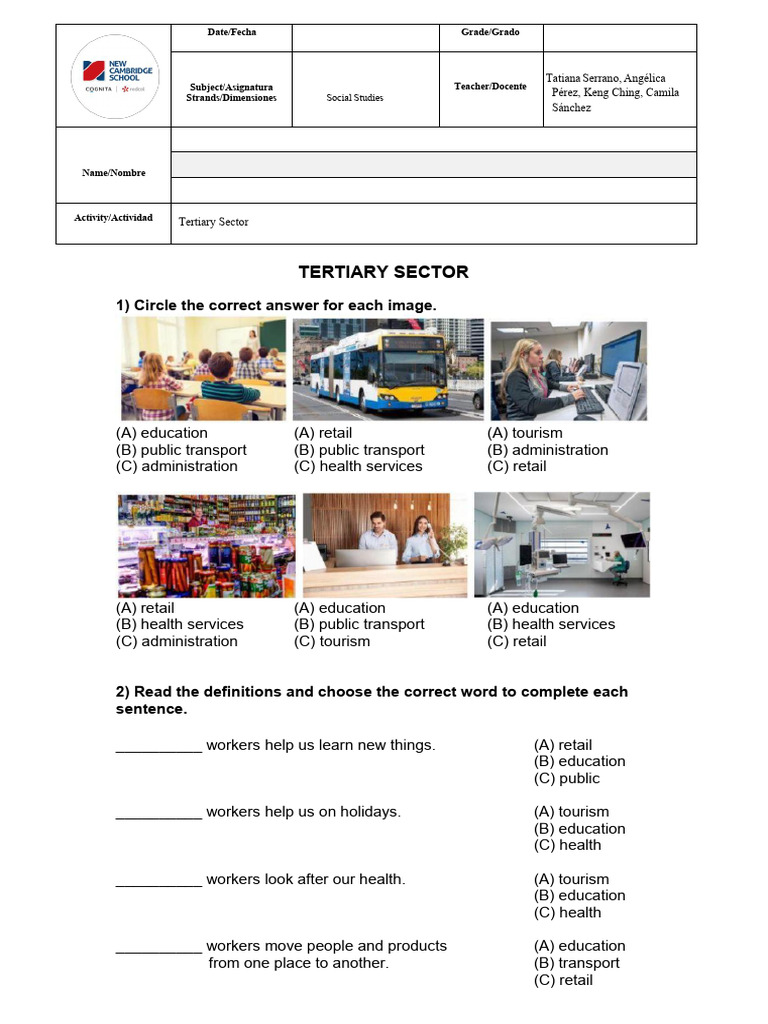 Tertiary Sector -Worksheet | PDF