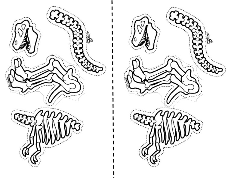 Fossil To Cut and Paste | PDF