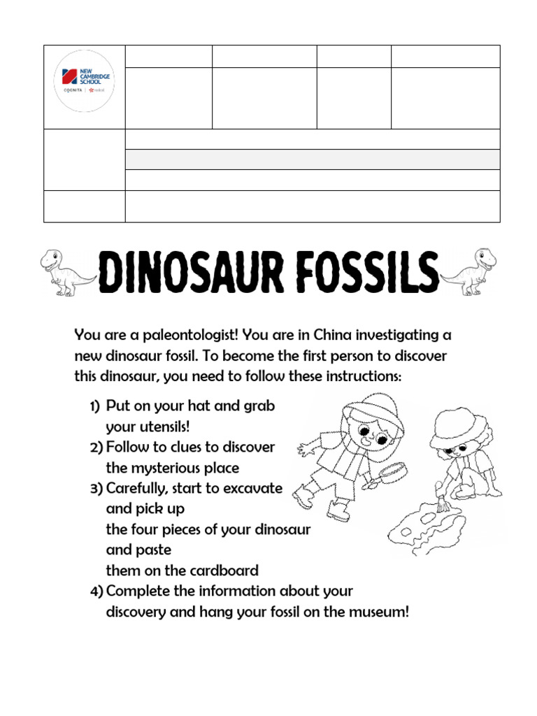 Fossils Worksheet for Paleontology Activity | PDF | Evolutionary ...